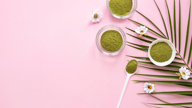 How to Store Freeze-Dried Food Powder to Preserve Freshness